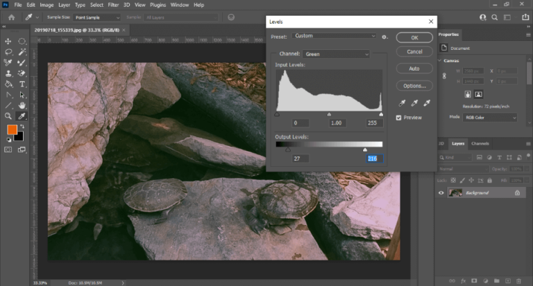 How Much Does Photoshop Cost? (Simple Explanation)